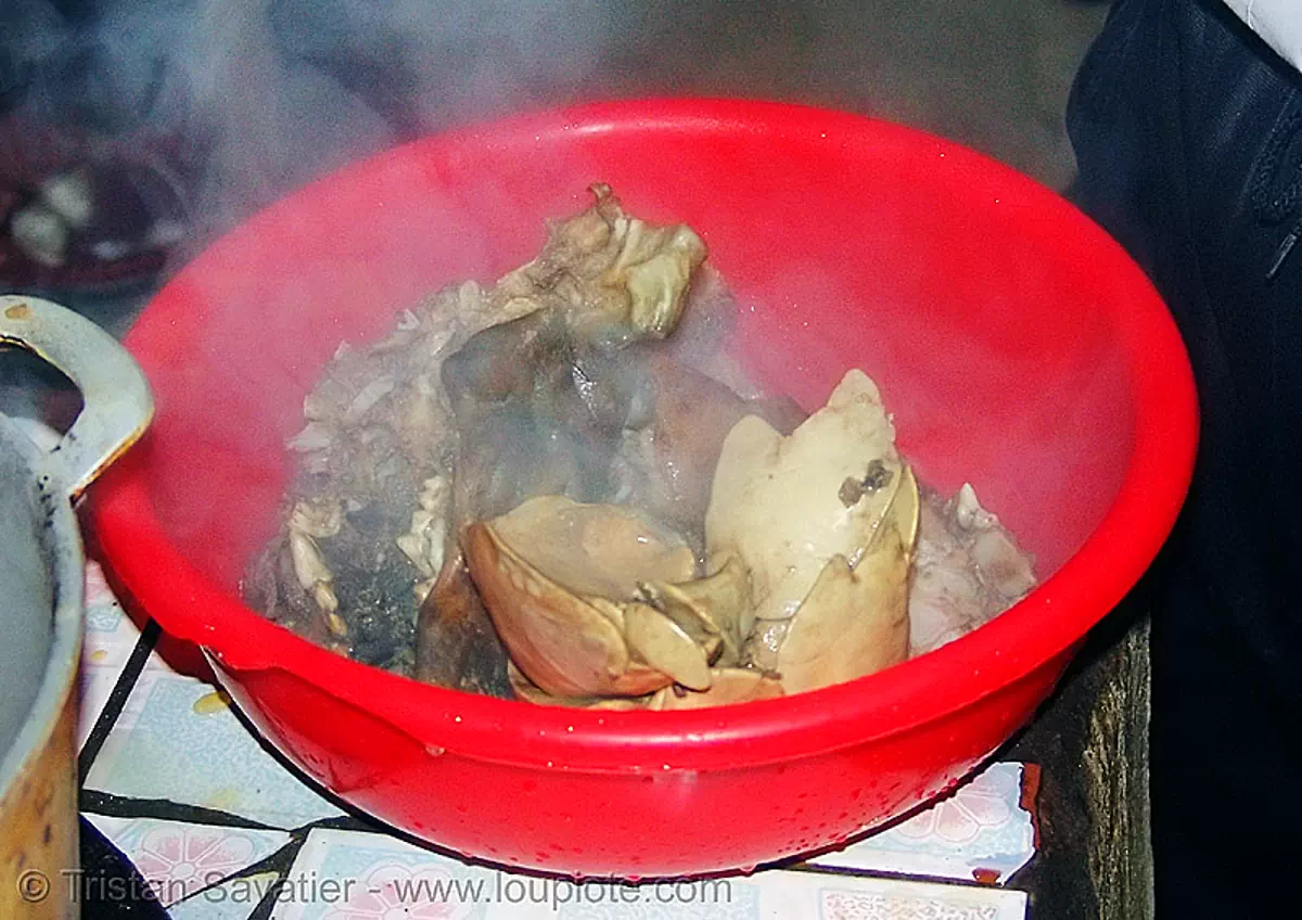dog lungs and head cooked, thịt chó, vietnam